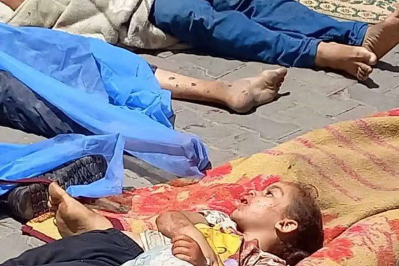 Genocide in Gaza: Death toll exceeds 37,000 amid new Israeli massacres ...